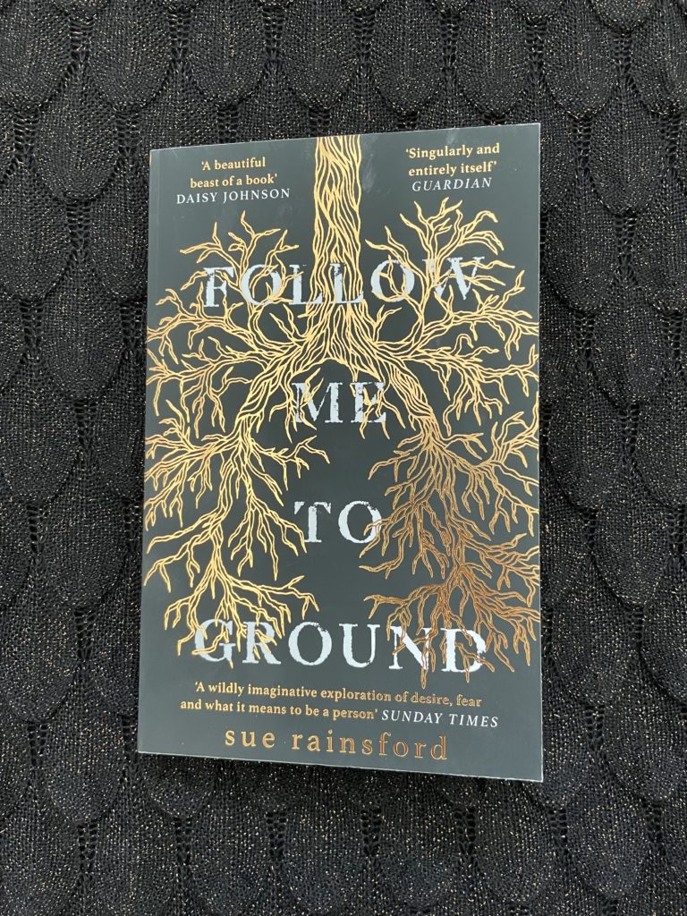 Sue Rainsford: Follow me to Ground | Bücherwurmloch